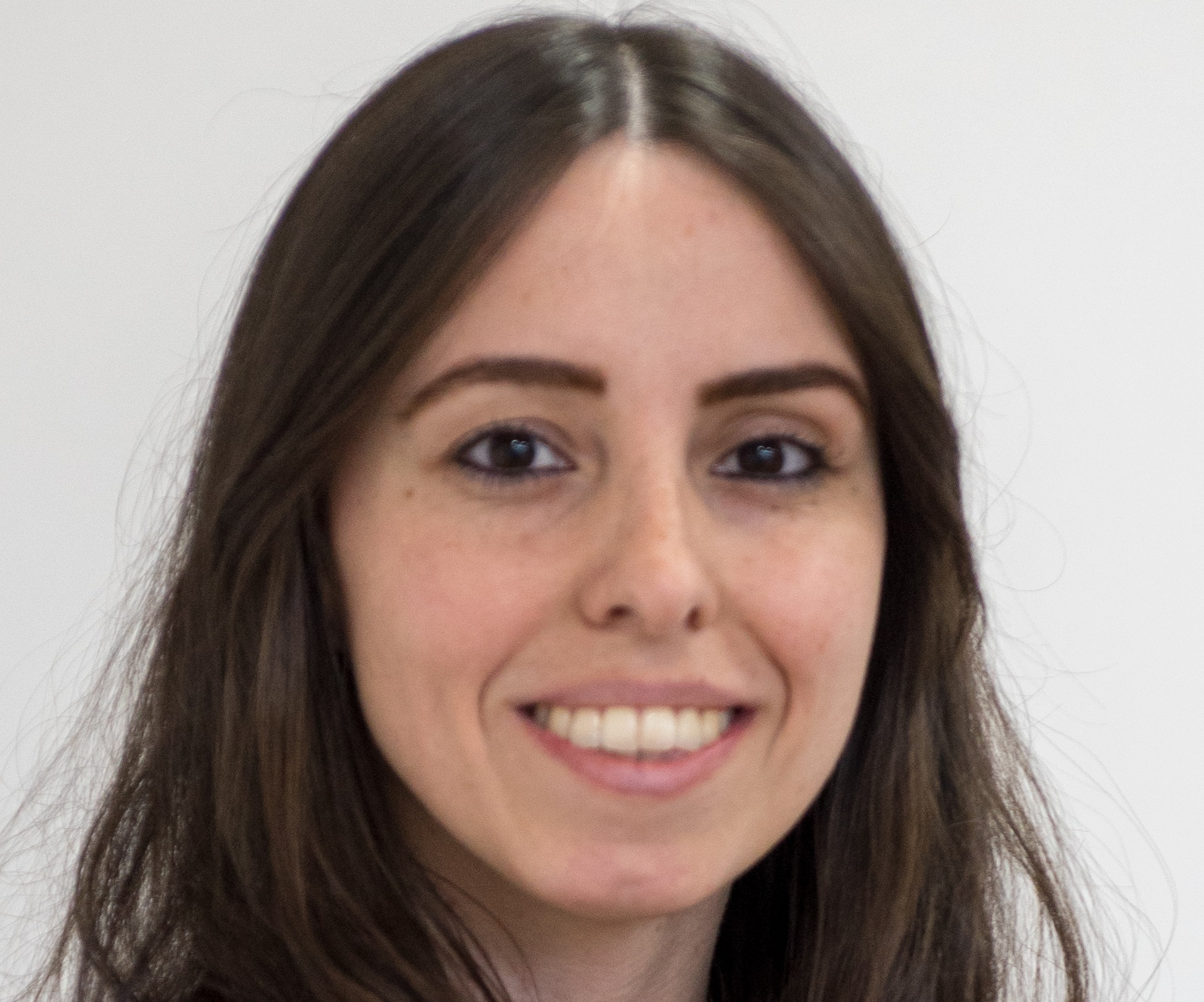 Confira formas de combate às formigas cortadeiras